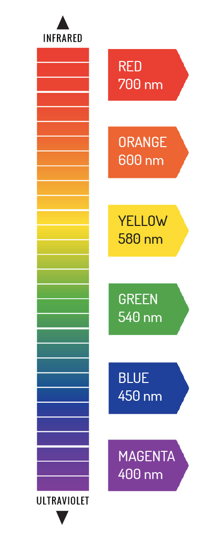 Partie 1 : Vision, couleur et spectre électromagnétique